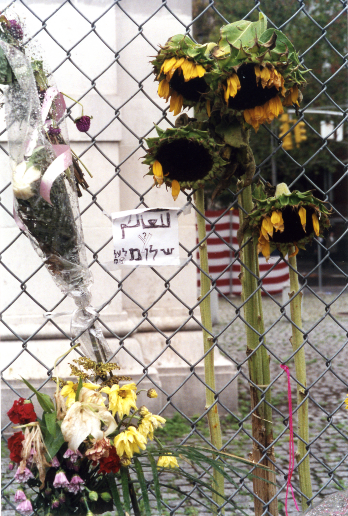 Days in New York City, September 11, 2001-May, 2002, a photo essay - A ...